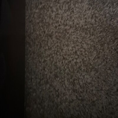 Fresh Organic Authentic Bitter Kola From Nigeria GARCINIA KOLA Orogbo ...