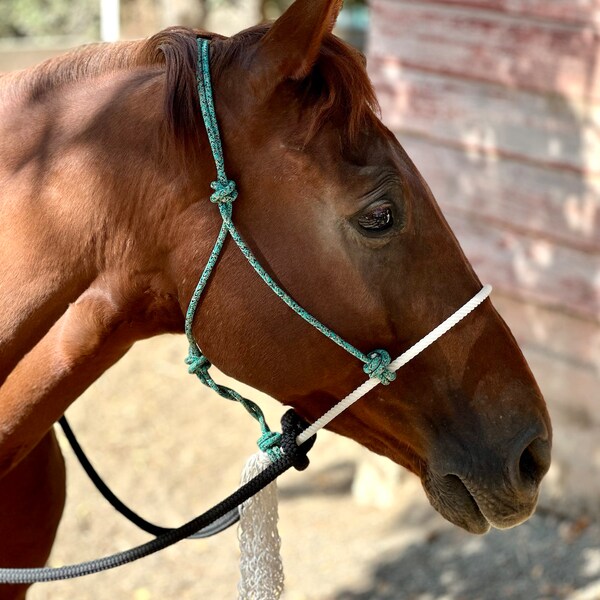 Rope Headstall - Etsy