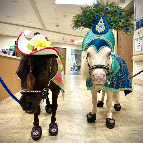 Retro Christmas Rodeo - Fancy Christmas Cowboy Set With Hat, Fringed ...
