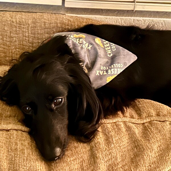 LSU Reversible Over-the-collar Dog & Cat Bandana - Etsy