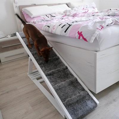 Foldable Pet Ramp 4 Height Levels Easy Storage Fully Assembled - Etsy