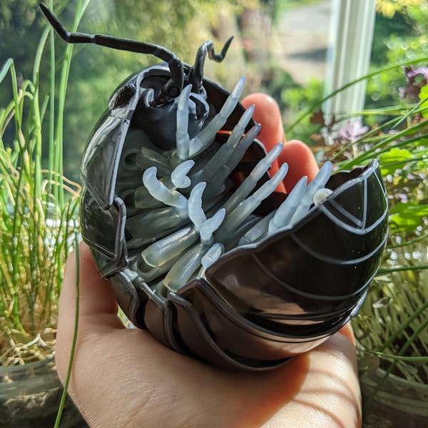 Dangomushi - Isopod, Woodlouse, Pillbug Figures! Various Options ...