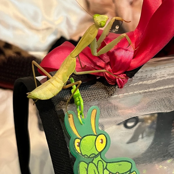 Palia Romanceable Npc's Double Sided Clear Acrylic Charm, Reth, Tish ...