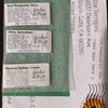 Cucamelon Seeds Heirloom, Open Pollinated, Non GMO Grow Indoors ...