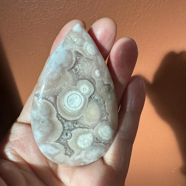 3.4in Megalodon Shark Tooth Authentic, Fossil Collection, Home Decor - Etsy