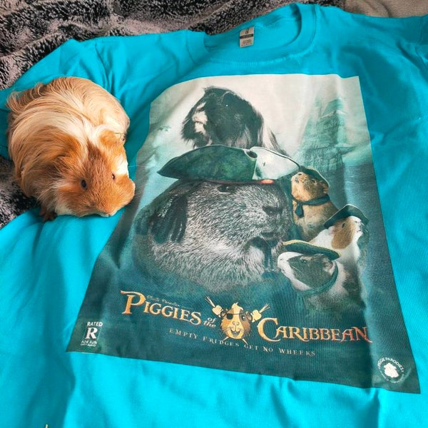 Capybara Fluffy Pin - Etsy