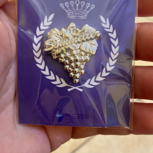 Seoul National University Pin Badge in KOREA. - Etsy