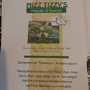 Cherokee, North Georgia Candy Roaster Squash . Cucurbita Maxima - Etsy