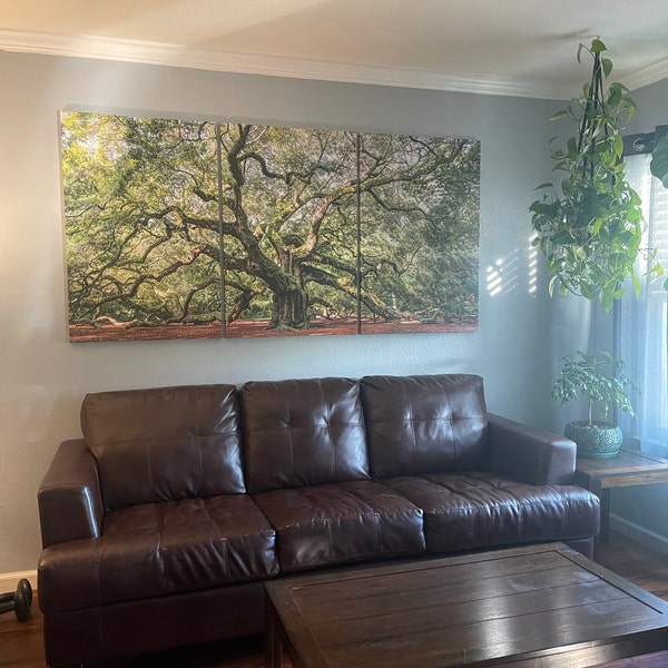Angel Oak Wall Art Big Old Tree Canvas Print Angel Oak Canvas Majestic ...
