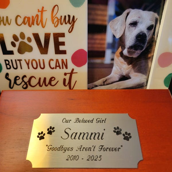 Pet Memorial Engraved Solid Brass Urn Plate -paw Prints- Personalized ...