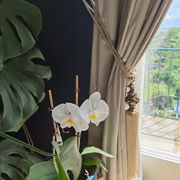 Pack of 2 - Leaf Tiebacks - Curtain Holder - Curtain Tie - Window Hook ...