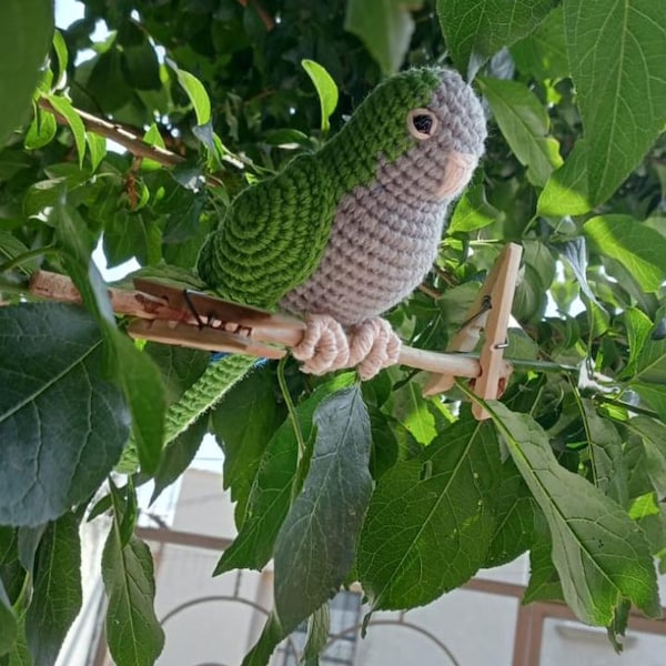 Crochet Green Quaker Parrot Pattern PDF With Photos and Video Monk ...