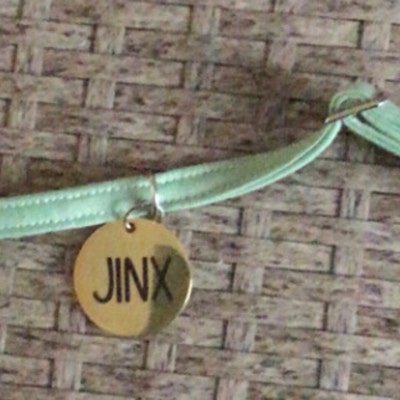 Green, Cat Collar With Bell, Cat and Kitten Sizes, Breakaway Cat Collar ...