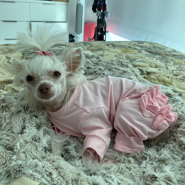 Pink Ruffled Dog Jumpsuit: Soft Cotton Stretchy Outfit - Etsy