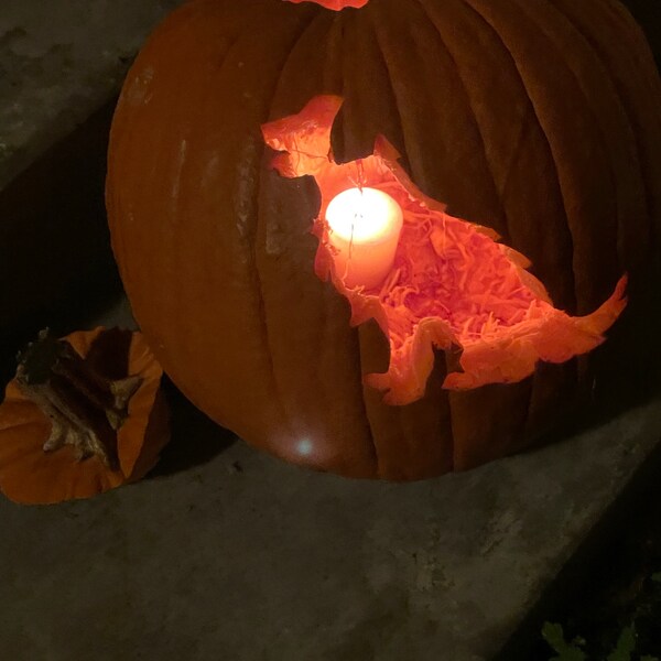 Hibiscus Flower Pumpkin Carving Stencil | 1 Unique Floral Halloween ...