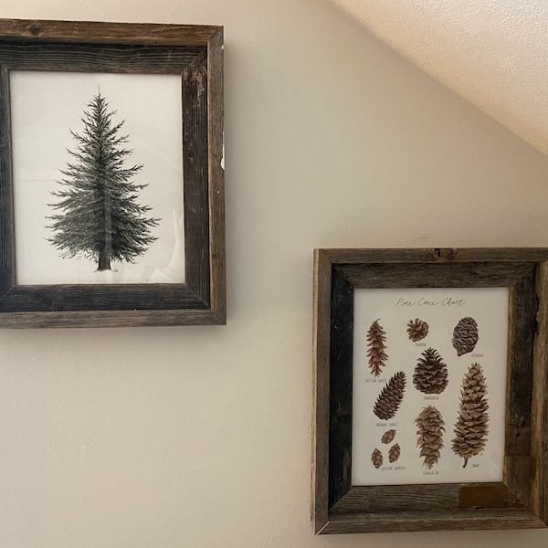 Pine Cone Chart Print - Watercolor Pine Cones, Pine Cones, Nature Print ...