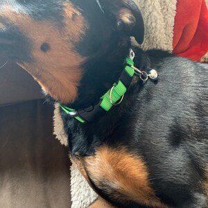 Solid Color BREAKAWAY Safety Dog Goat Pig Sheep Collar Many - Etsy