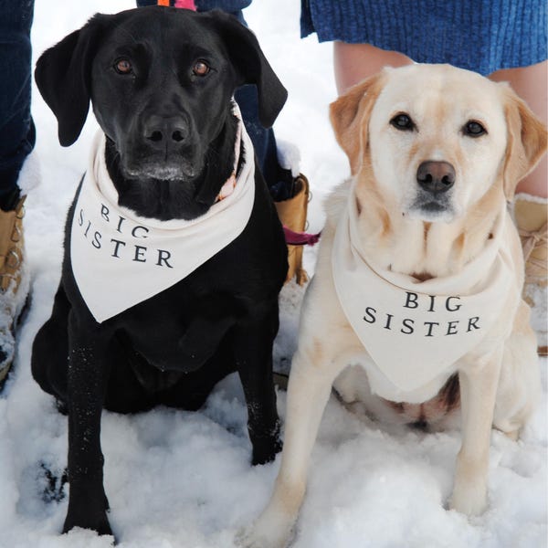 The Big ONE Shirt, Surfer Themed Party, Wave, First Birthday, Bday Boy ...