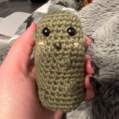 PATTERN ONLY, Easy Pickle Crochet Pattern, Instant DOWNLOAD - Etsy