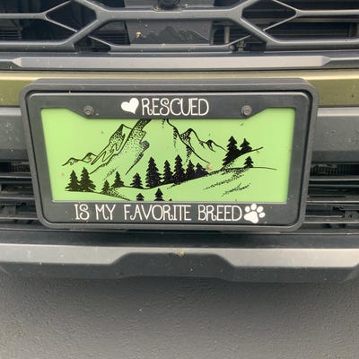 Wildflower License Plate, Cute Floral License Plate, Cute Car Accessory ...