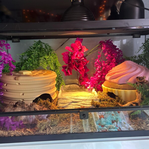 Reptile Climbing Ramp, Bearded Dragon Basking Platform, Rock Wall ...