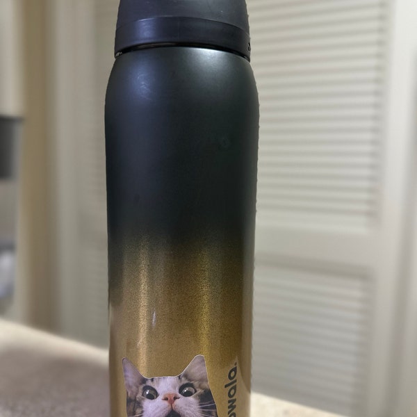 Scaredy Cat Sticker, Cat Sticker, Cat, Kitty, Cat Gift, Kitty Gift ...