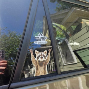 Foster Kitten Log/worksheet Packet, Foster Kitten Kit XLSX, DOCX, PDF ...