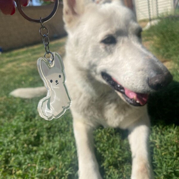 Ringnecked Dove Acrylic Bird Breed Keychain | Cartoon Kawaii Art Double ...