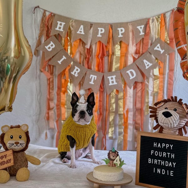 Pet Party Hat | Mini Cat Birthday Party Hat | Mini Cat Party Hat | Dog ...