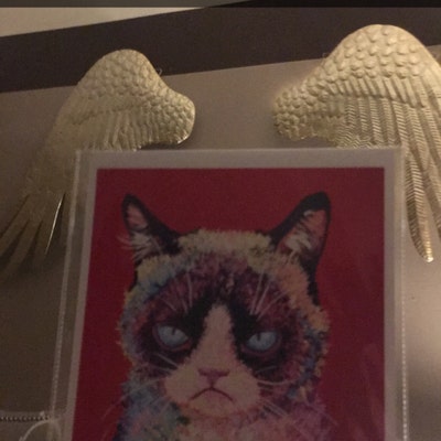 Rainbow Grumpy Cat Print, Grumpy Cat Art, for Him, for Her, Grumpy Cat ...