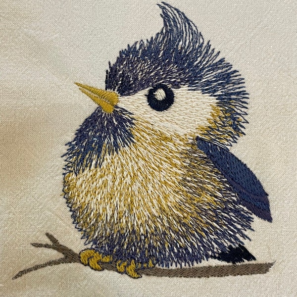 Little Birdy Machine Embroidery Designs Birds - Etsy