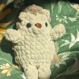 PATTERN/INSTRUCTIONS Cockatiel, Bird Pattern, Charlie the Cockatiel ...