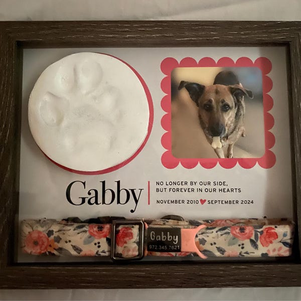 Paw Print Holder Pet Memorial, Clay Paw Print Display Shadow Box, Pet ...