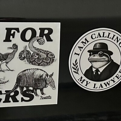 Honk If You're the Drama Bumper Sticker Womens Gifts Accessories Gen Z ...