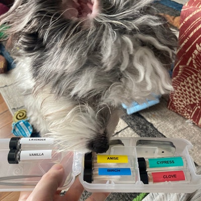 AKC Scent Work Training Kit - Etsy