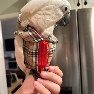 Red Feather Protector for Plucking Parrots/birds Bespoke - Etsy