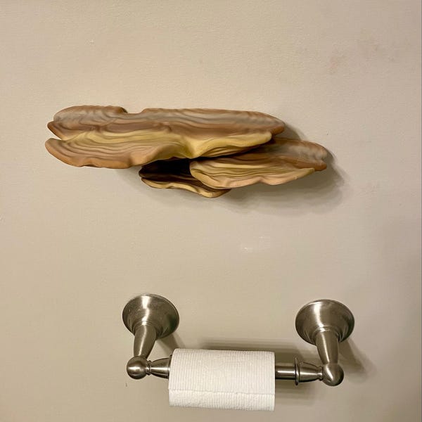 Snail Core Bowl, Unique 3D Printed Decor, Spiral Design, Artistic ...