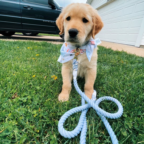 Sky Blue Rope Leash for Dogs 5ft, Free Bandana Gift, Natural Dye Rope ...