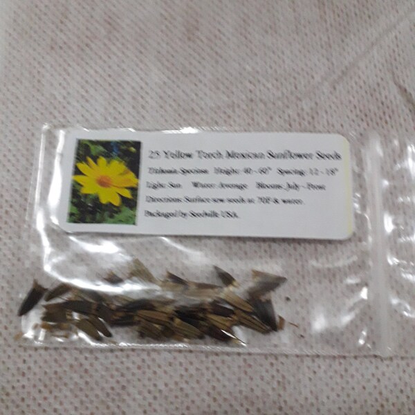 25 YELLOW Torch MEXICAN SUNFLOWER Tithonia Speciosa Flower Seeds *flat ...