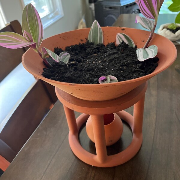 The FUNNEL Planter With Stand and Water Catch for Indoor House Plants ...