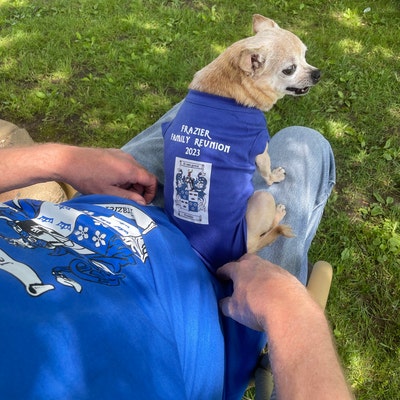 Custom Vet Tech Fanny Pack Vet Tech Tool Belt Vet Tech - Etsy