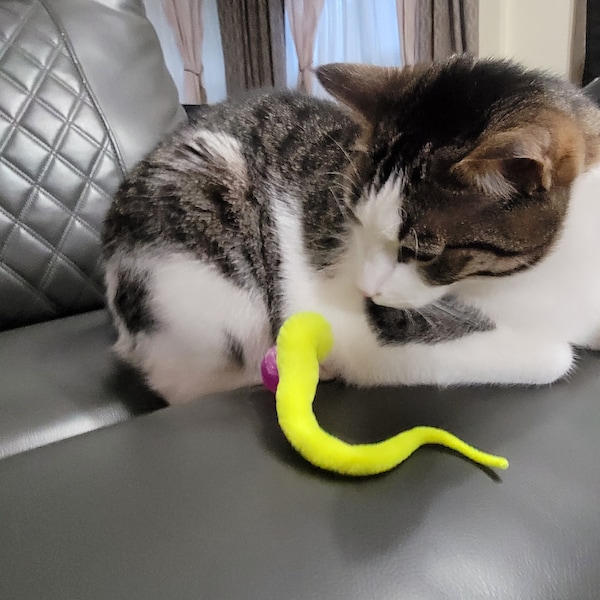 Super Bouncy Wiggly Ball - Cat Toy With Wiggly Tail, Fun Cat Toy Ball ...