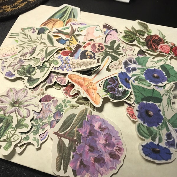 Mermaids Ephemera Die Cut, Light Skin Tone - Etsy