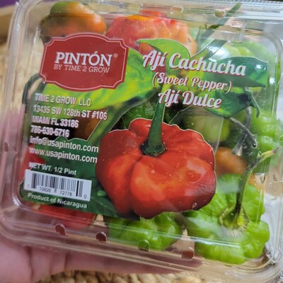 Aji Cachucha, Cachucha Pepper, Sweet Pepper, Sweet Aji. Pintón Brand ...