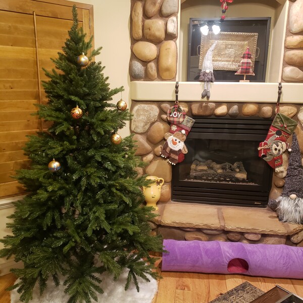 Persia Coin, Cyrus the Great Cylinder, 2550 Anniversary, Haftsin ...