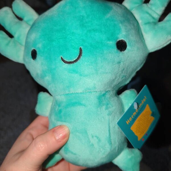 Rosie's Rules: Rosie Fuentes Plush Toy - Etsy