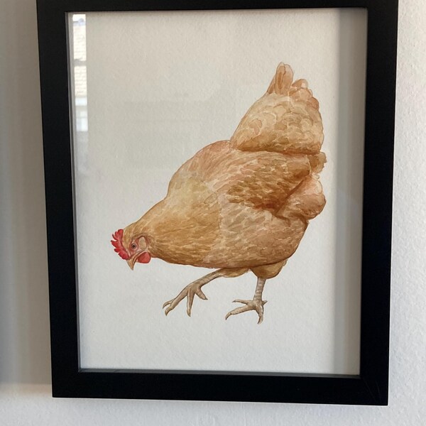 Buff Orpington Chicken Watercolor Art Print | Chicken Painting | Yellow ...