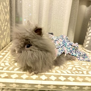 Blue and White Check Rabbit Bunny Dress or Denim Dungarees - Etsy