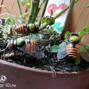 Ladybug, Bug Magnet, Small Size Handmade Clay Magnet Insect Figurine ...