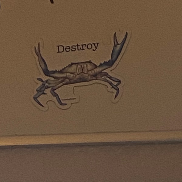 Devil Ray Tarot Holographic Sticker - Etsy